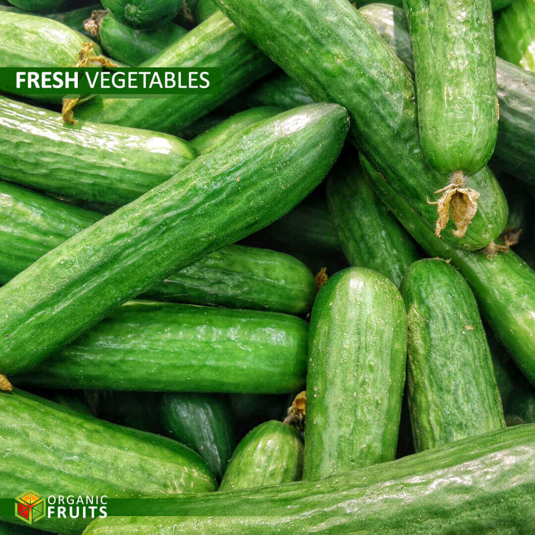 Lebanese Organic Vegetables